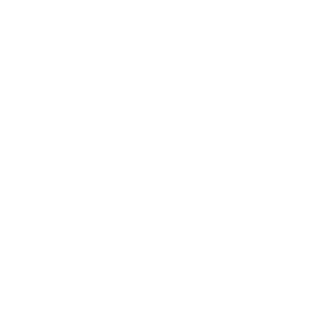 Love Sector – Living Wholeness